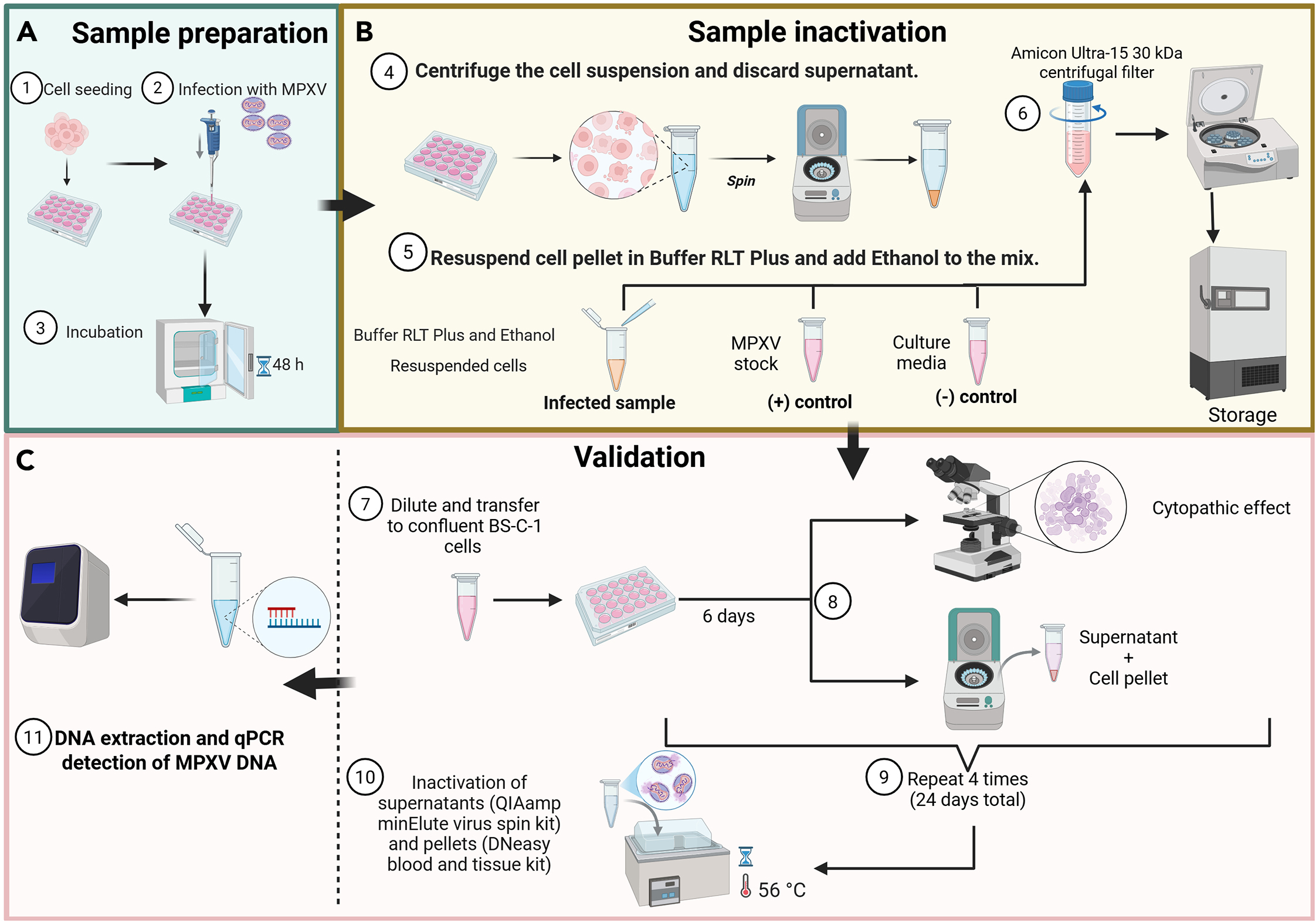 Cell Press: STAR Protocols