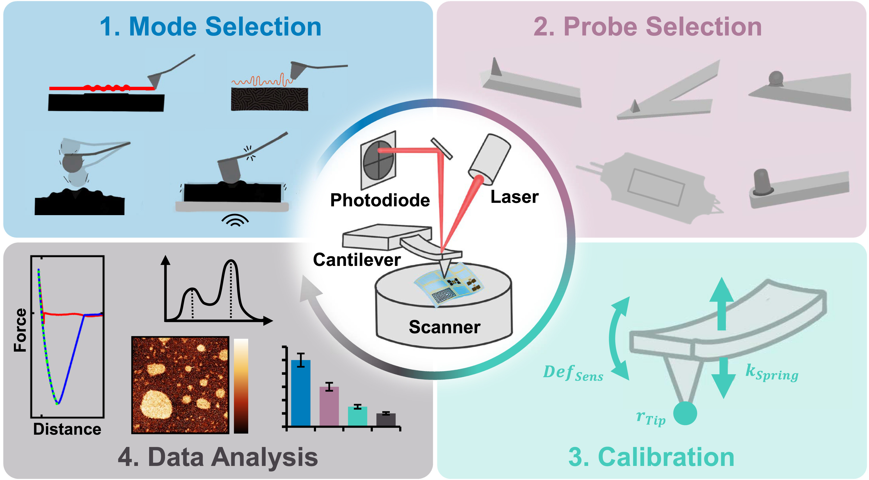 Cell Press: STAR Protocols