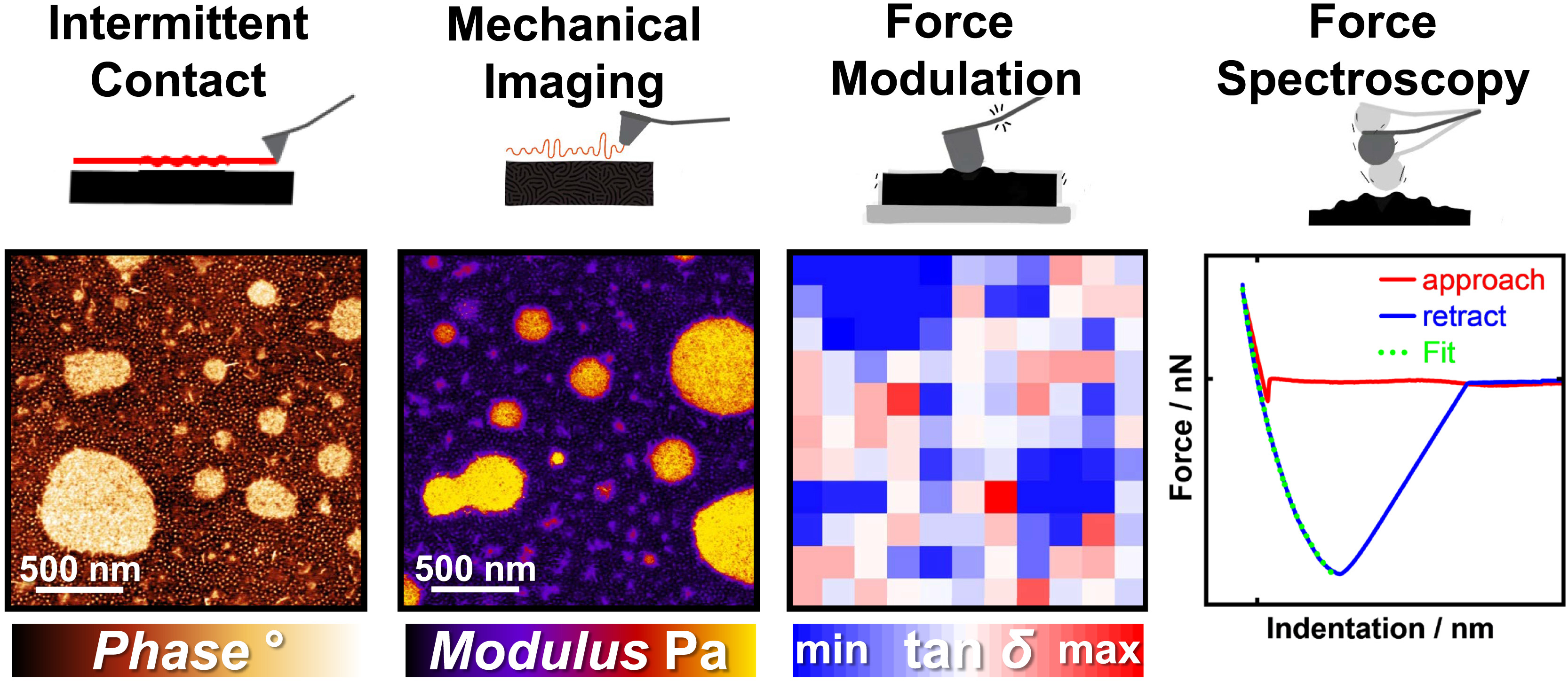 Cell Press: STAR Protocols