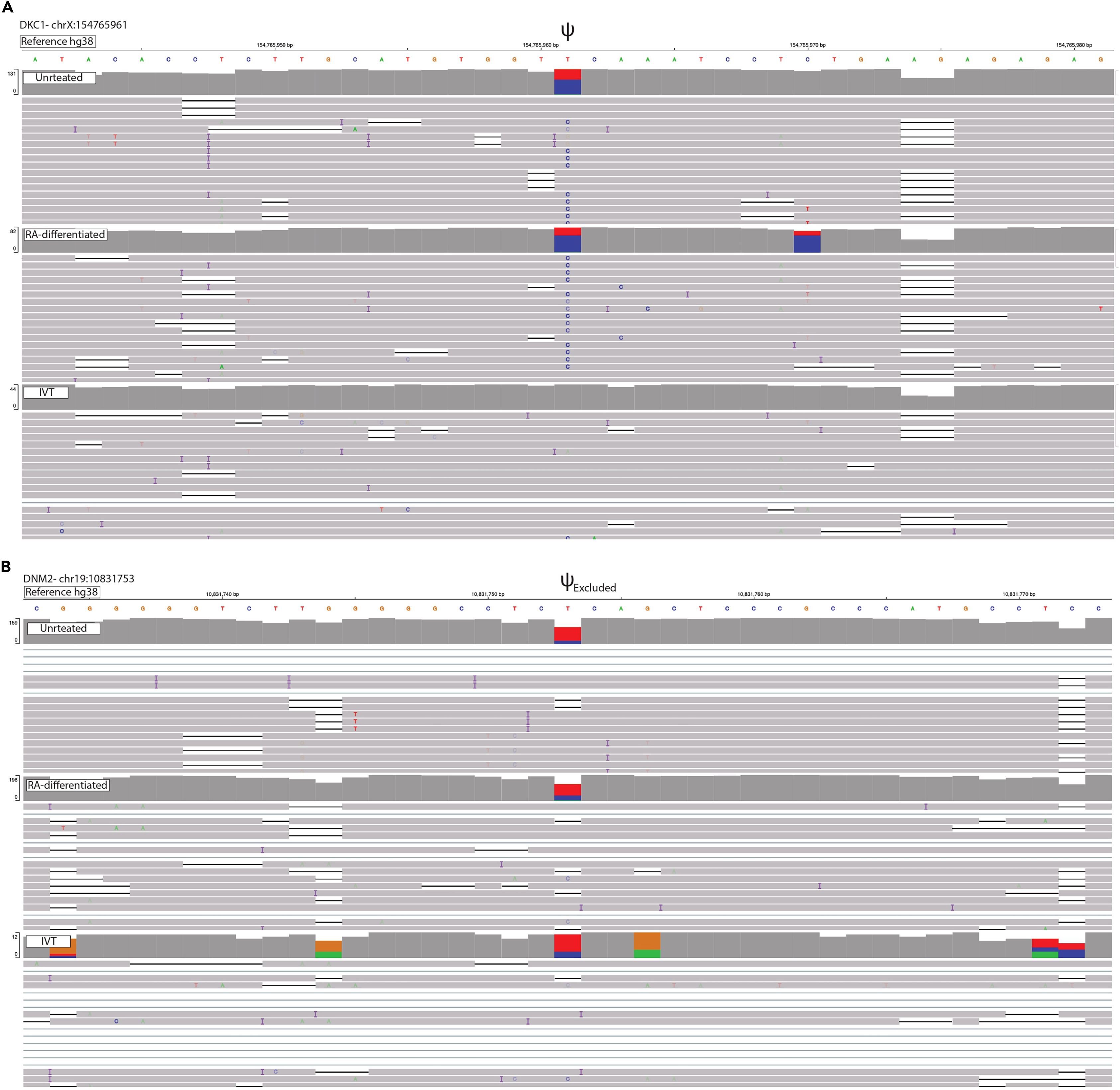 Cell Press: STAR Protocols