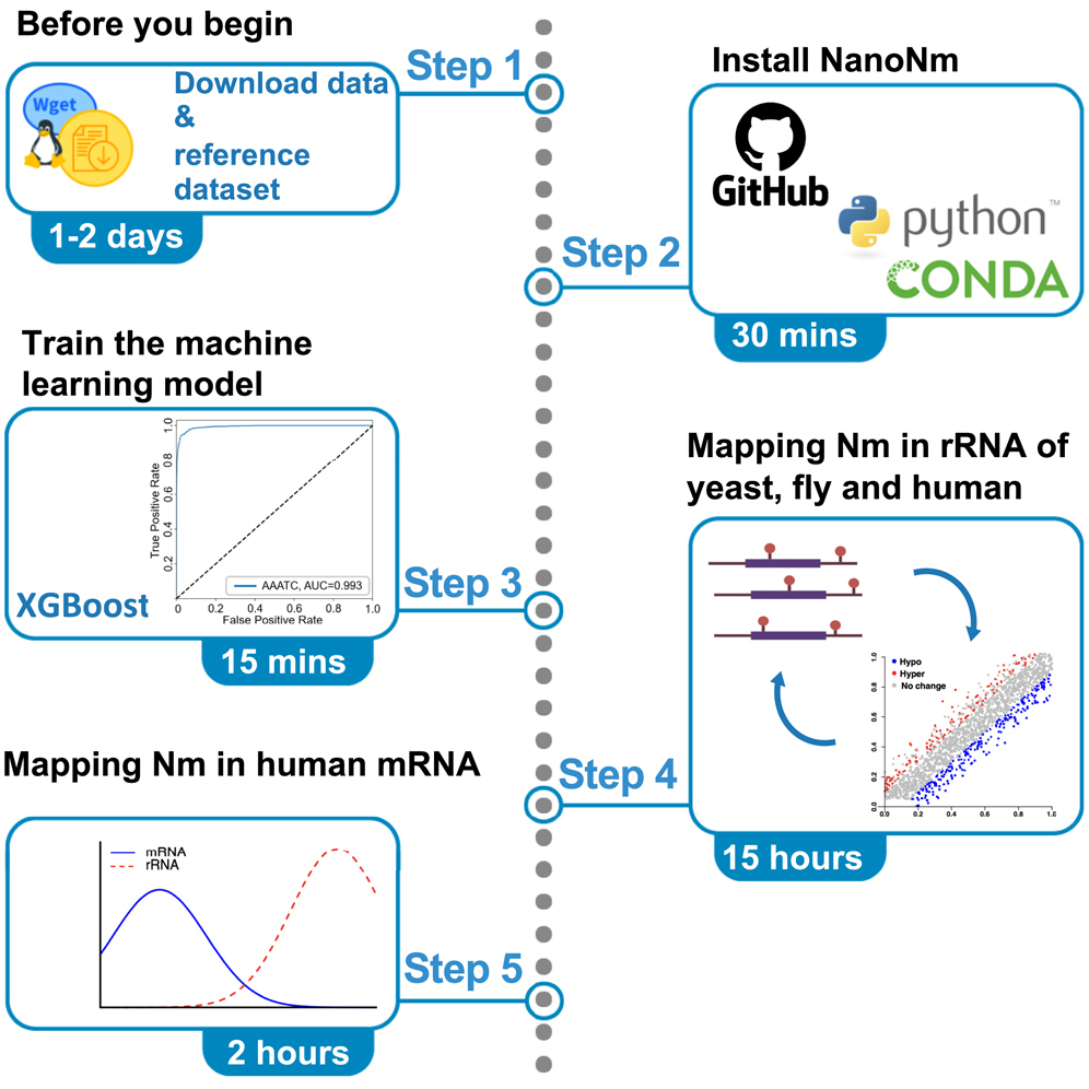 Cell Press: STAR Protocols