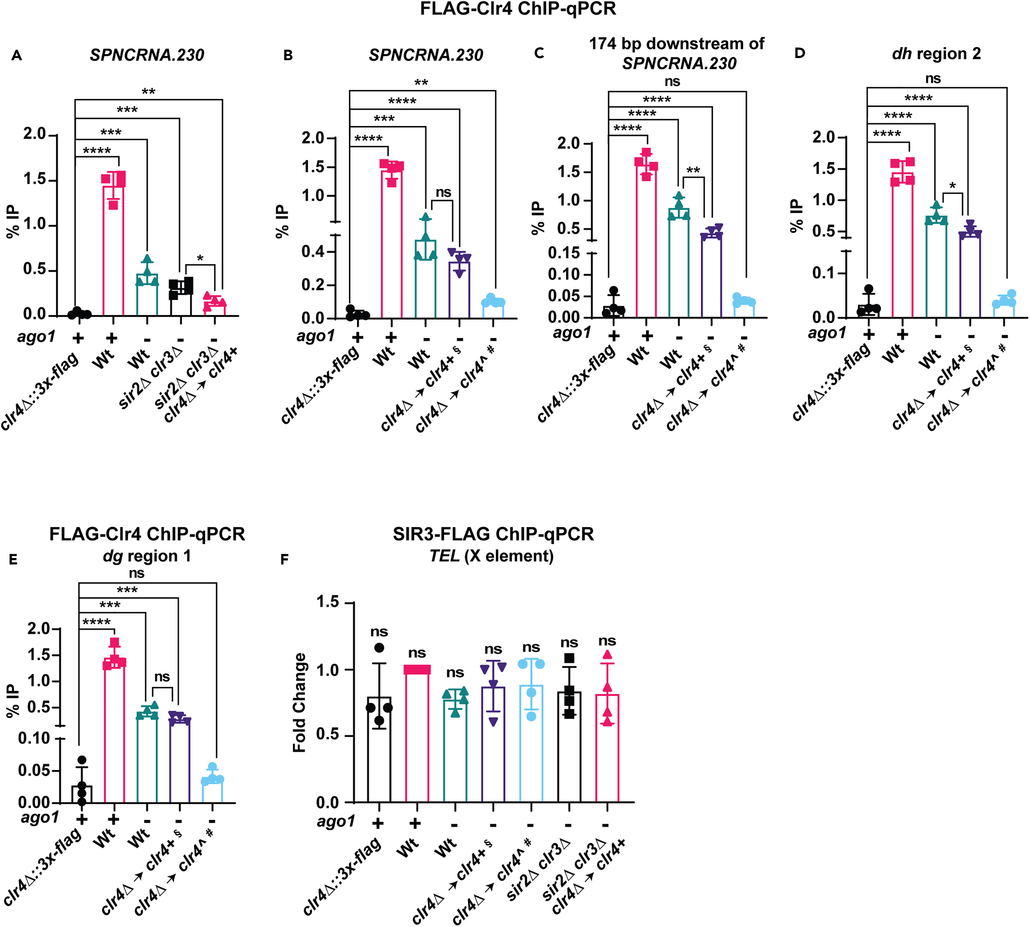 Cell Press: STAR Protocols