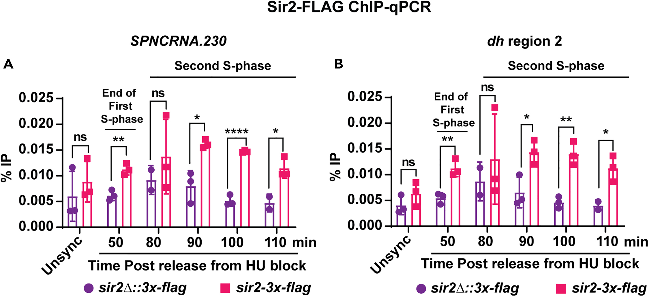 Cell Press: STAR Protocols