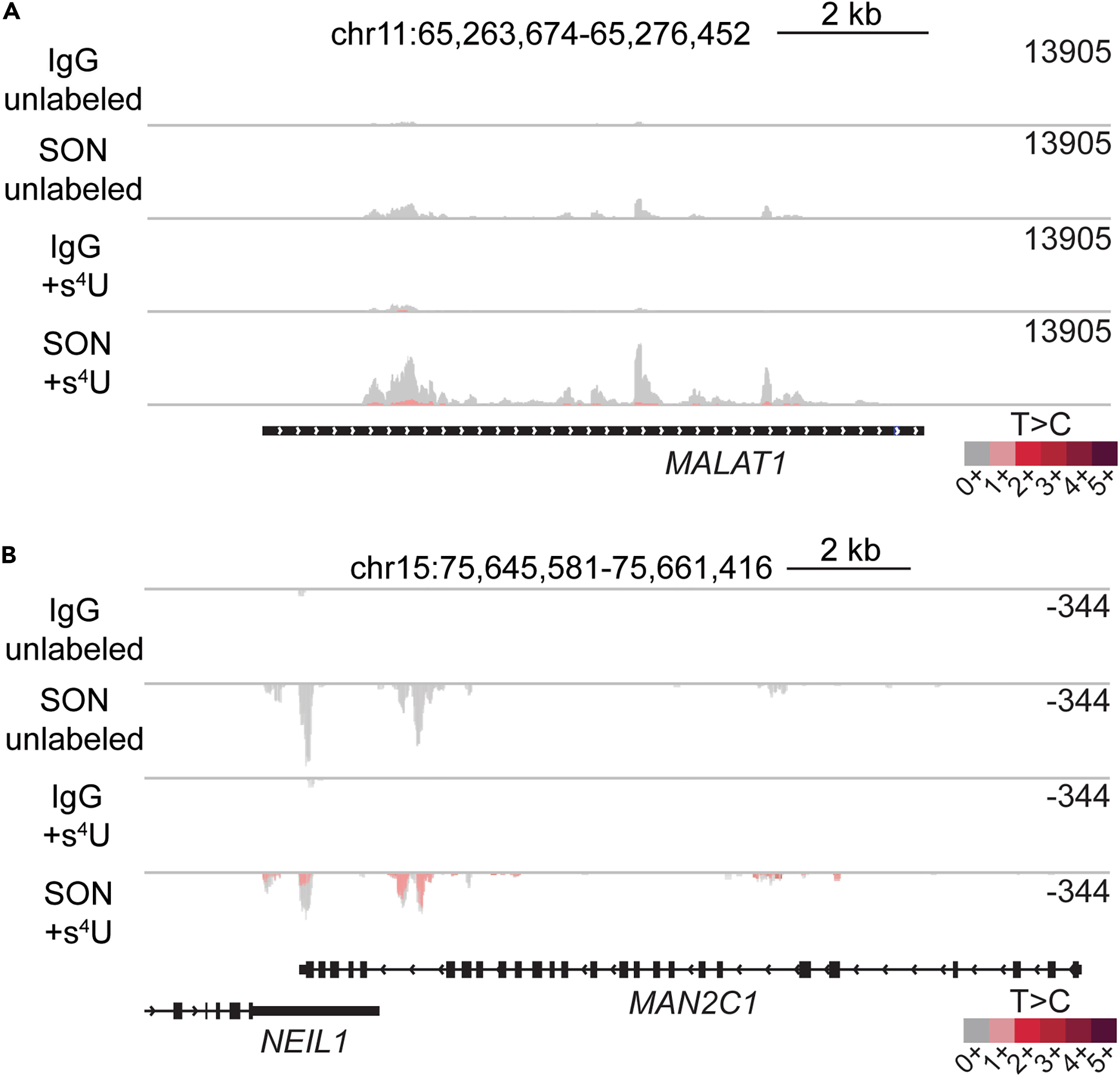 Cell Press: STAR Protocols