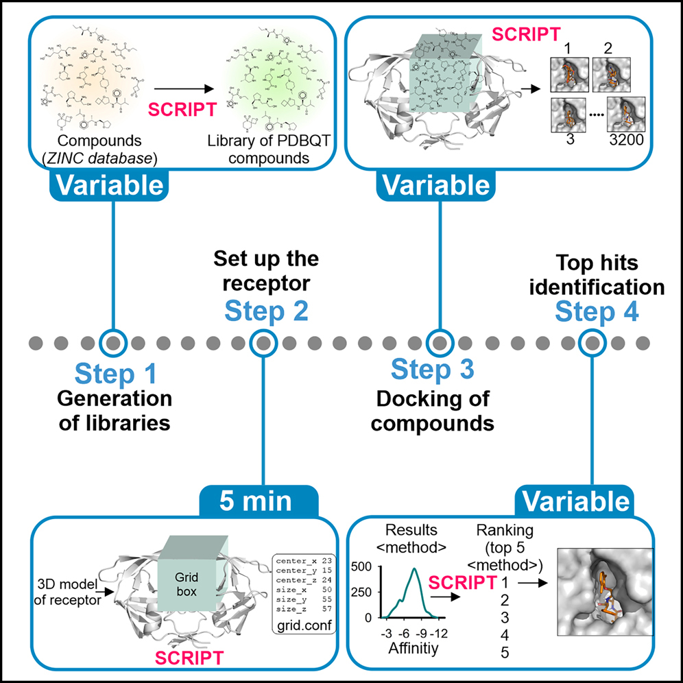 Cell Press: STAR Protocols